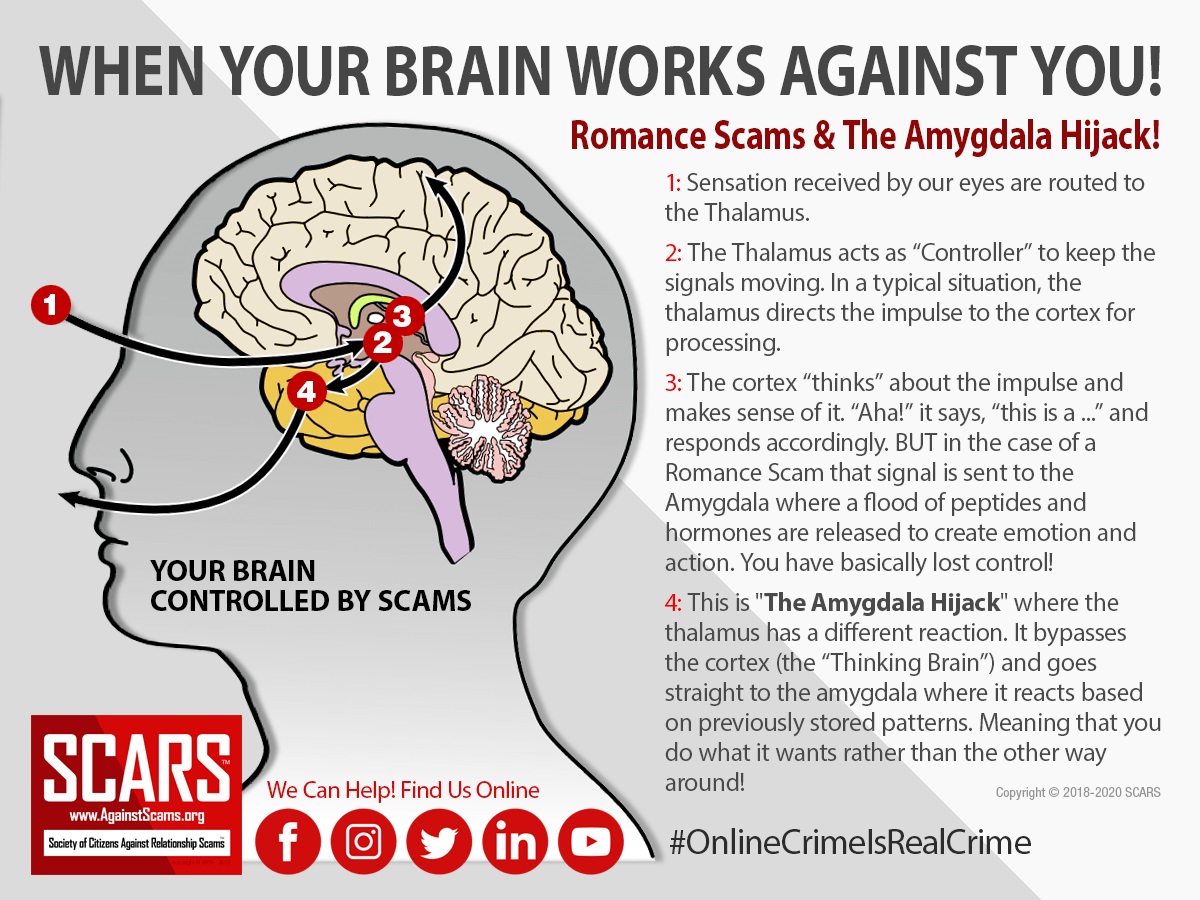 Love Bombing & Amygdala Hijacked Scam Victims 2024