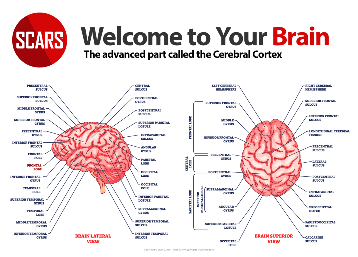 Relationship Scams And Their Impact On Memory - ScamsNOW.com - the ...
